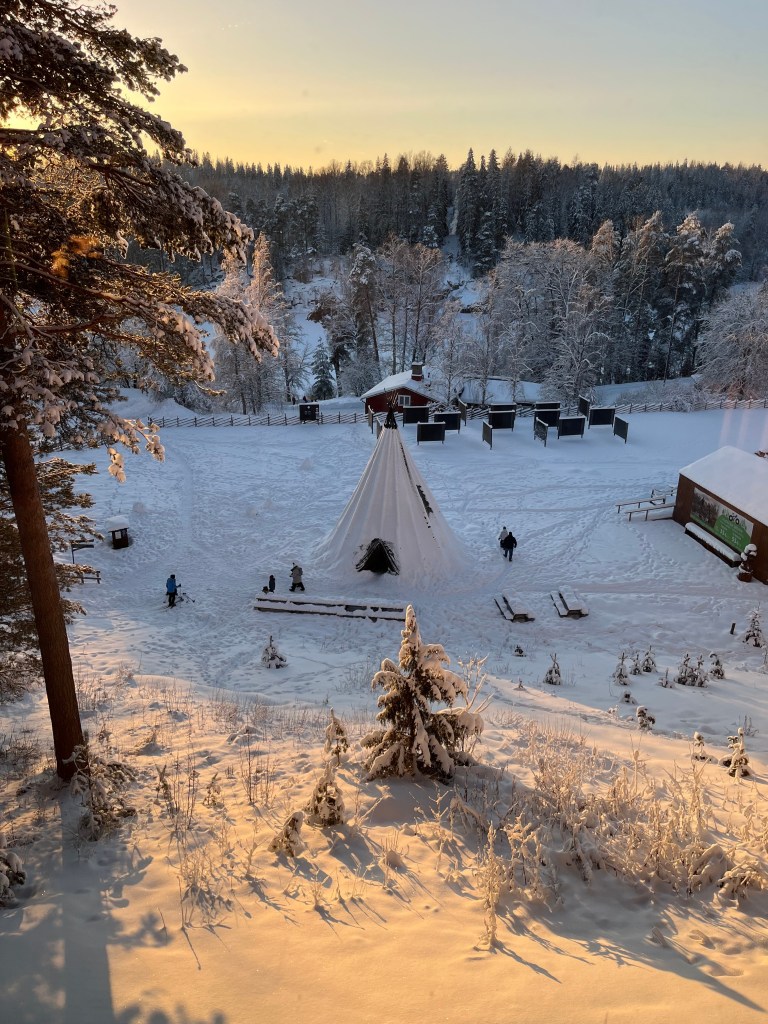 Winter Travel Guide to Finland: Activities, Tips, and Cultural Insights ...